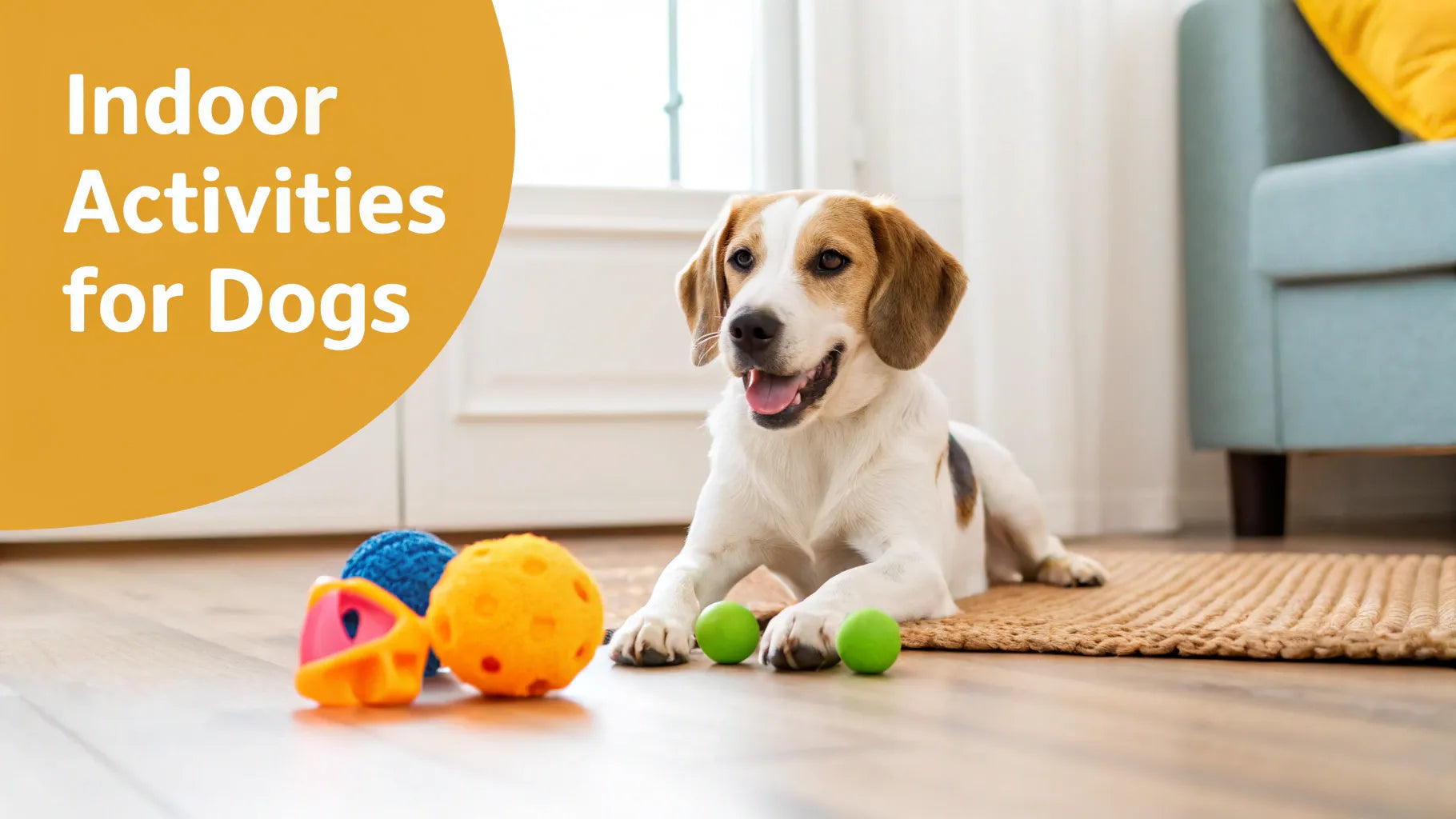 How Can I Exercise My Dog in the House? Engaging Indoor Activities for Your Furry Friend | Houndsy
