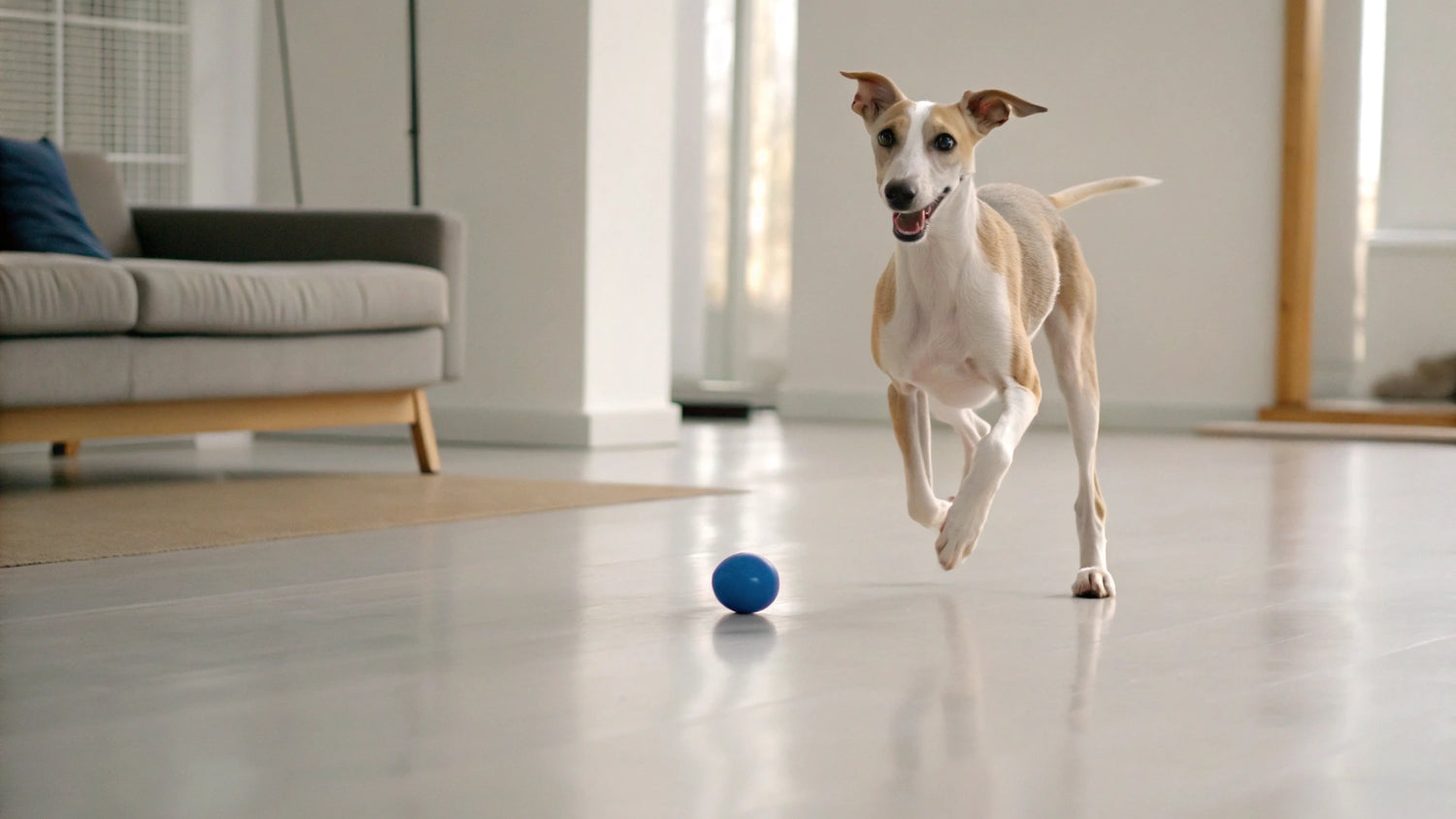 How to Care for a Grieving Dog: A Comprehensive Guide for Pet Owners ...