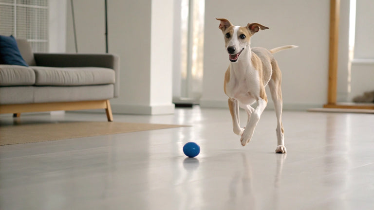 How to Care for a Grieving Dog: A Comprehensive Guide for Pet Owners ...