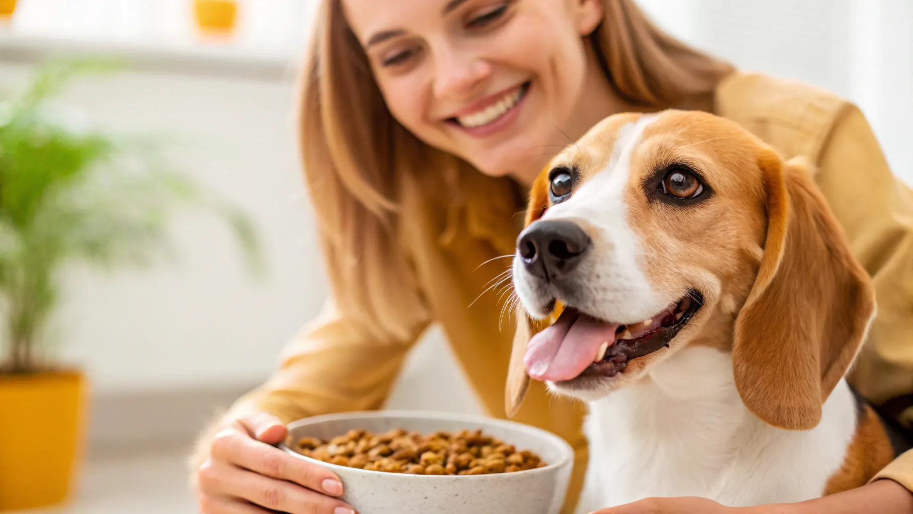 How to Help Your Dog Gain Weight: Effective Strategies for Healthy ...
