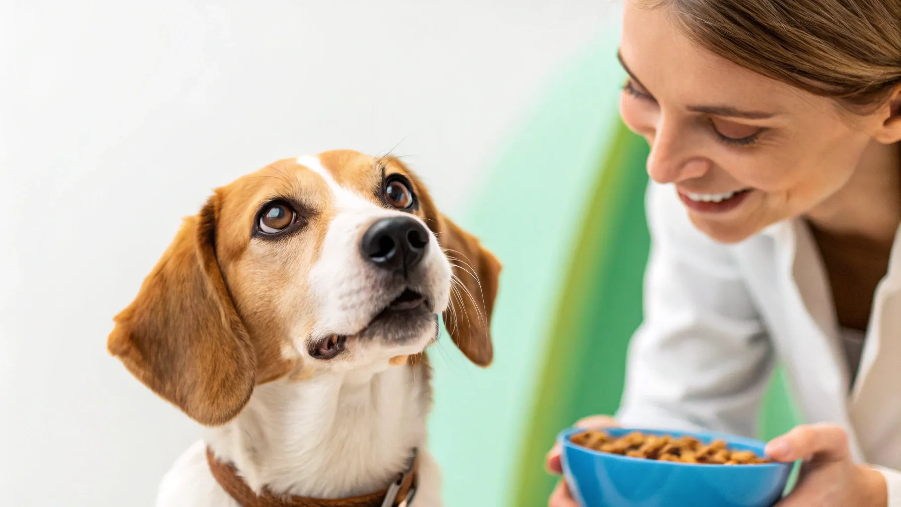 How to Make a Dog Eat: Tips for Healthy Feeding Habits