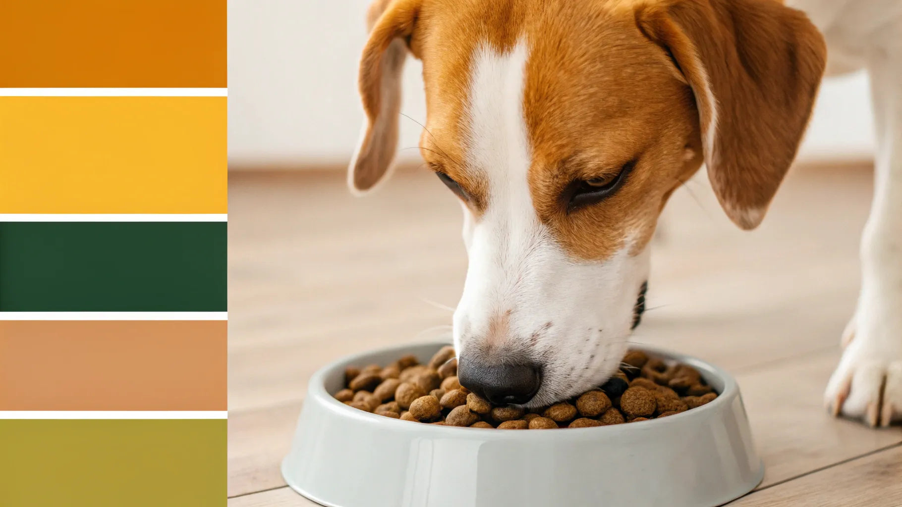 Is Turkey Kibble Good for Dogs? Understanding the Benefits and Risks ...