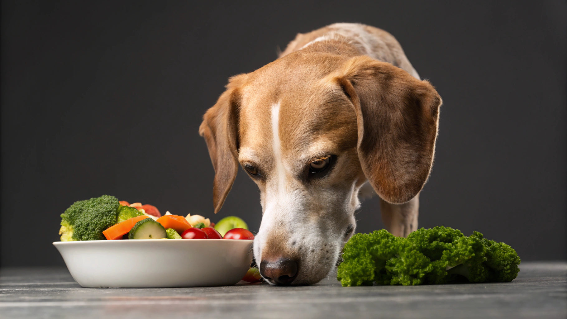 Should Dogs Eat Fresh Food? Understanding the Benefits and ...
