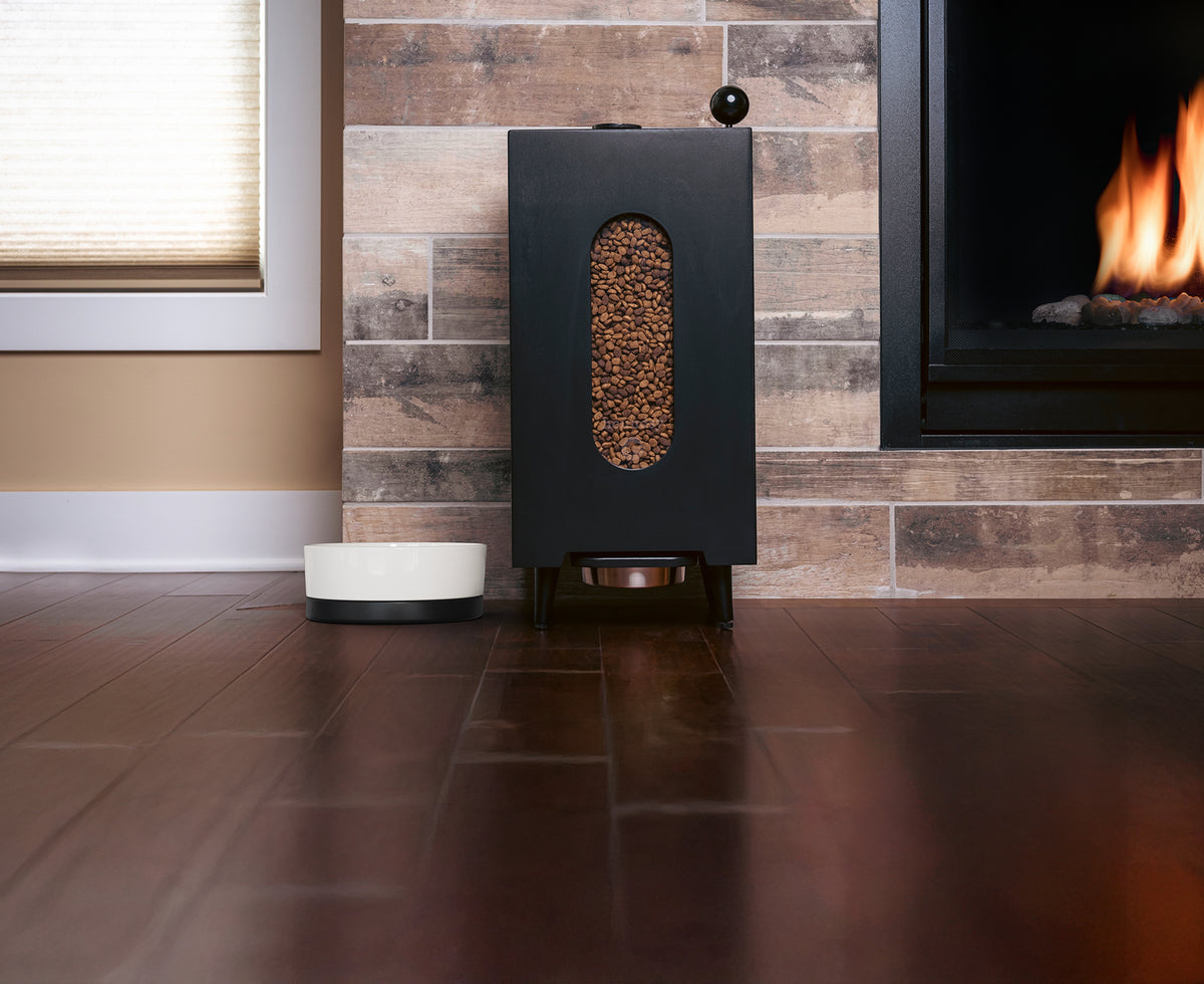 Understanding Why Do Vets Recommend Kibble: A Comprehensive Guide for ...