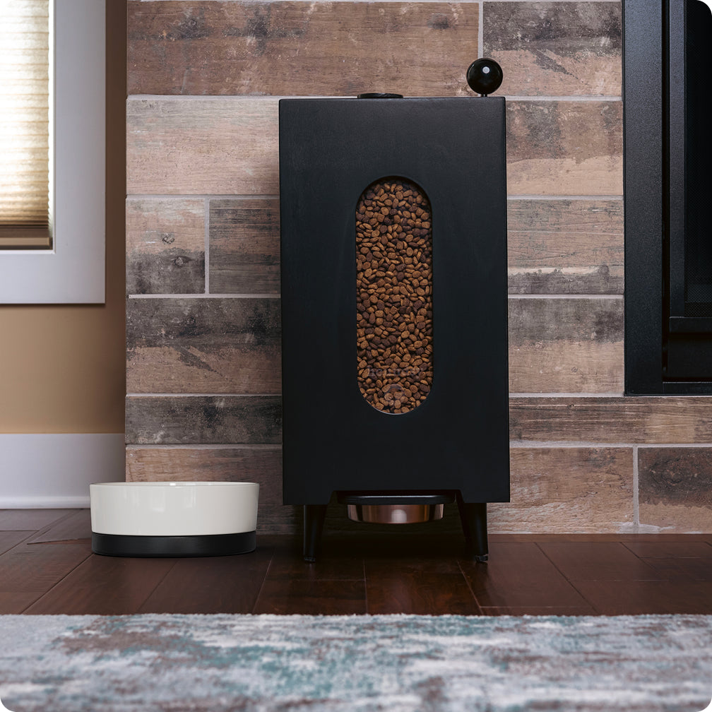 Dog Feeder - Houndsy Kibble Dispenser