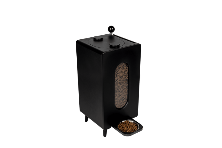 Understanding Shiba Inu Health Problems: A Comprehensive Guide for Pet ...