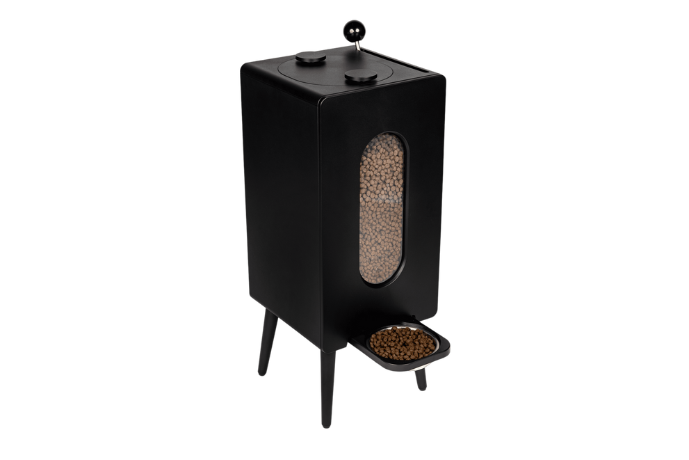 Can Canned Dog Food Be Left Out? What Every Dog Owner Should Know | Houndsy